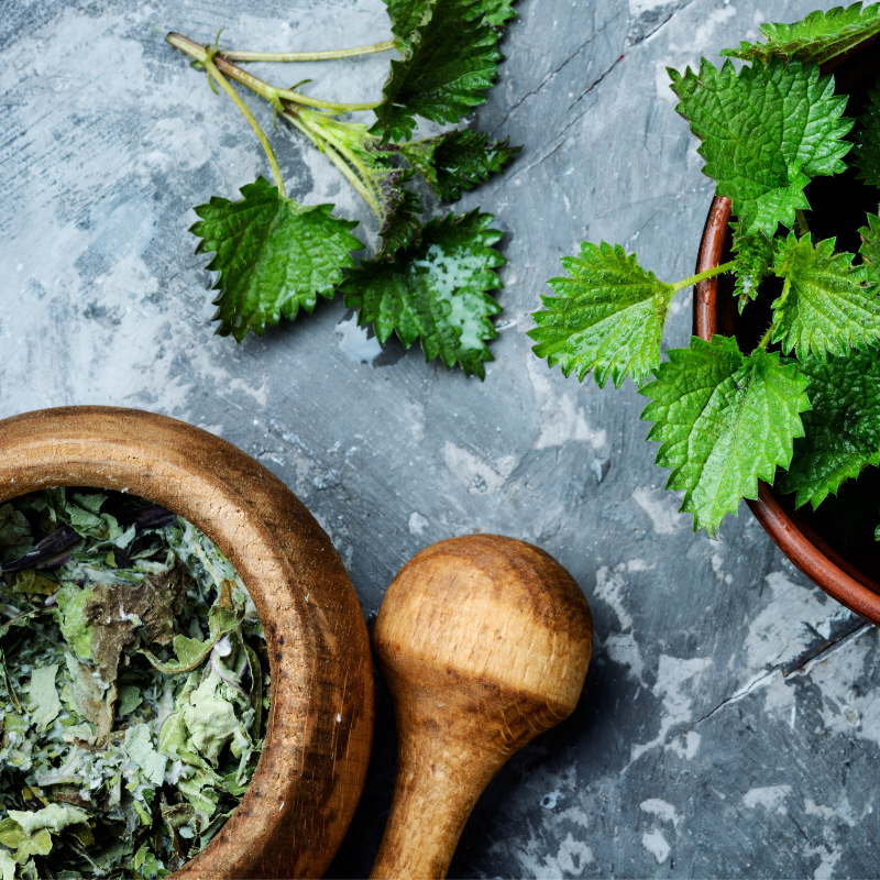 Natural Antihistamines and How They Help With Allergies ...